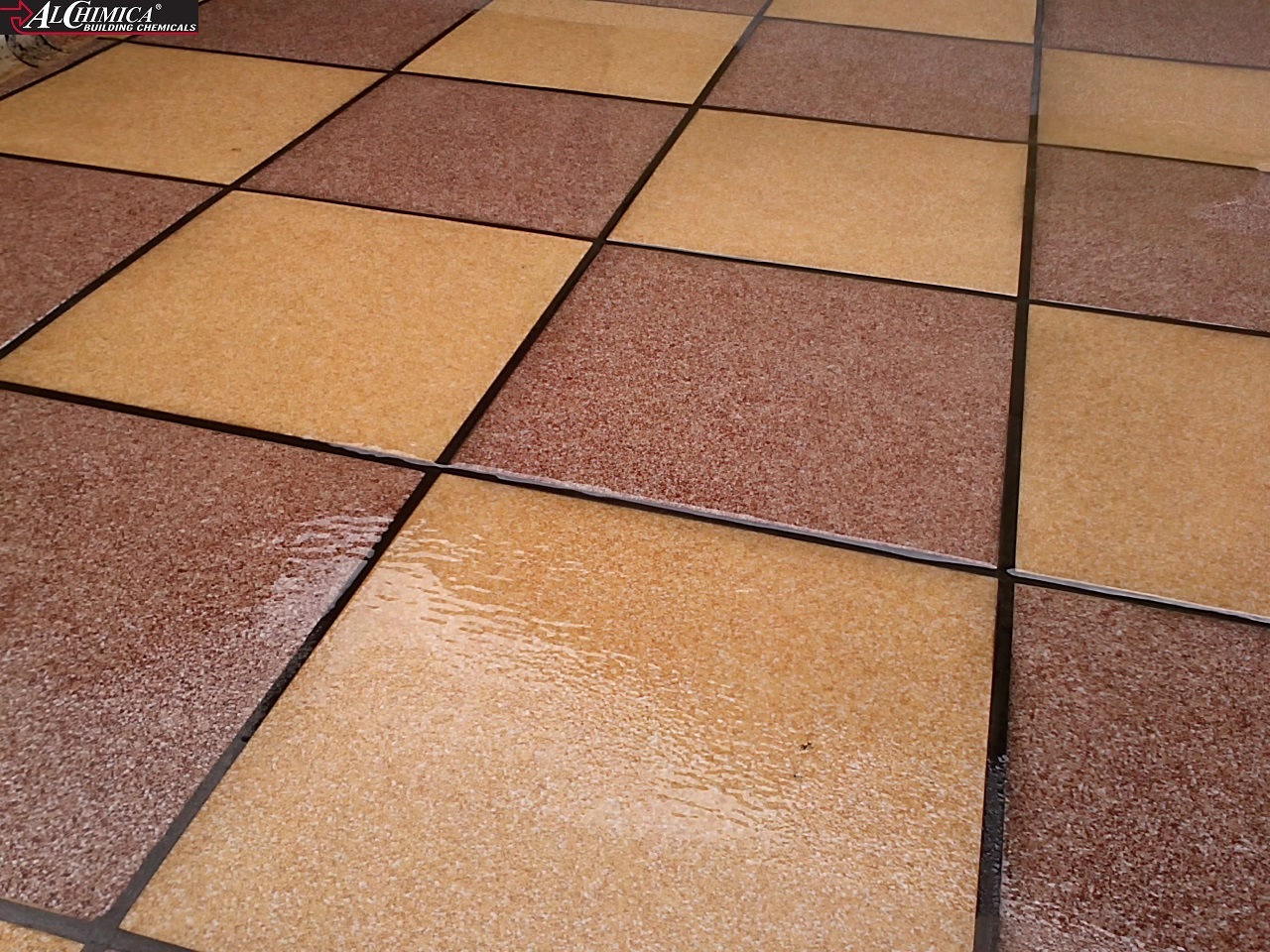 Hyperdesmo-T – ALCHIMICA Project Gallery