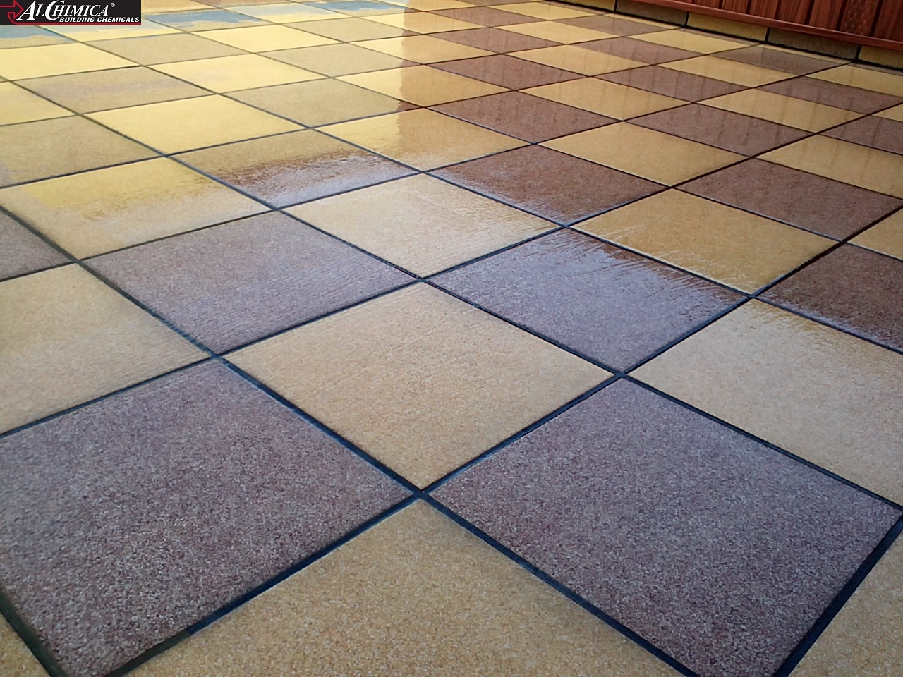 Hyperdesmo-T – ALCHIMICA Project Gallery